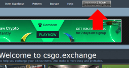 How to Check Previous Owners of CS2 Skins? - Step-by-Step Guide