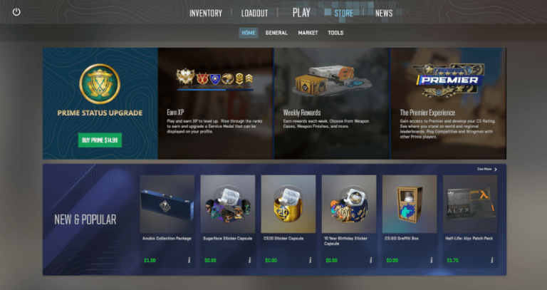 Can Prime Players Play With Non-Prime Players In CS2? - What You Should ...