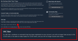 Can You Trade CS2 Items With A VAC Ban? - Find Out Here