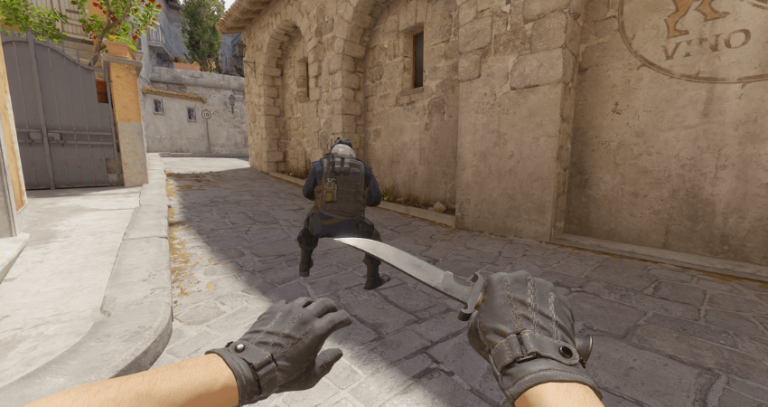 CS2 Roles Guide - All Counter-Strike 2 Roles in Detail