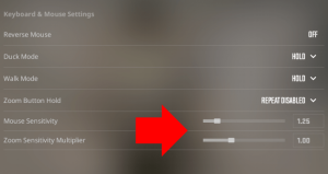 Best CS2 Mouse Settings - Easy Step-by-Step Guide