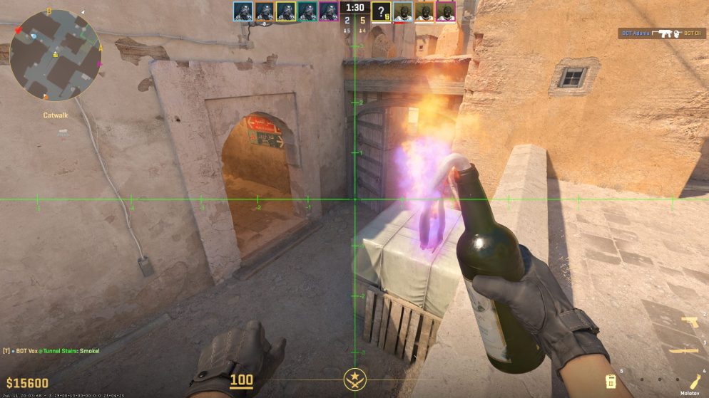 CS2 Molotovs Guide - Learn The Best Molotov Spots in CS2