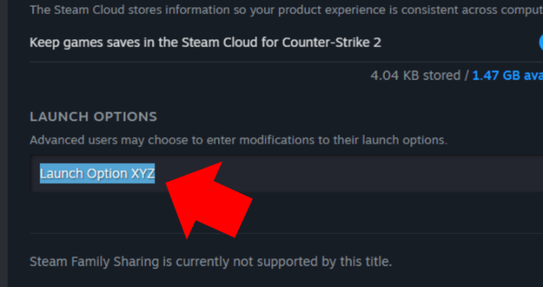 How to Set CS2 Launch Options? - Easy Walkthrough