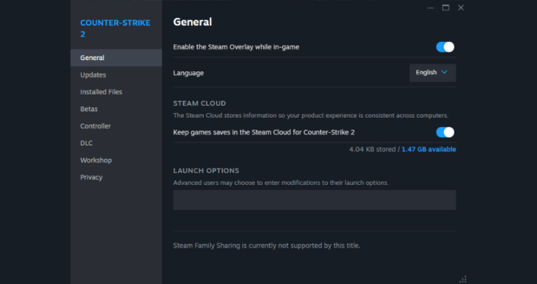 How to Set CS2 Launch Options? - Easy Walkthrough