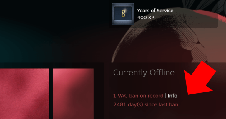 VAC Ban Average Wait Time CS2 - What to Expect