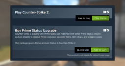 How To Get Your CS2 Service Medal? - Step-by-Step Guide