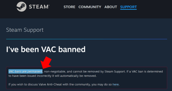 VAC Ban Average Wait Time CS2 - What to Expect