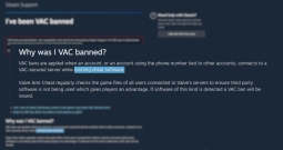 Can I Get VAC Banned For Playing With A Hacker? - Important Facts