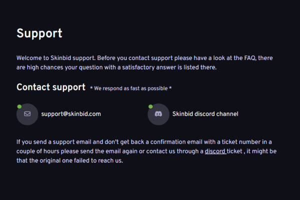 Skinbid Review 2025 - What We Think After Testing