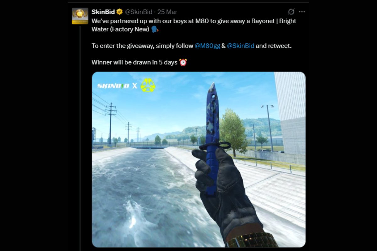 Skinbid Review 2025 - What We Think After Testing