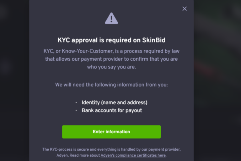 Skinbid Review 2025 - What We Think After Testing