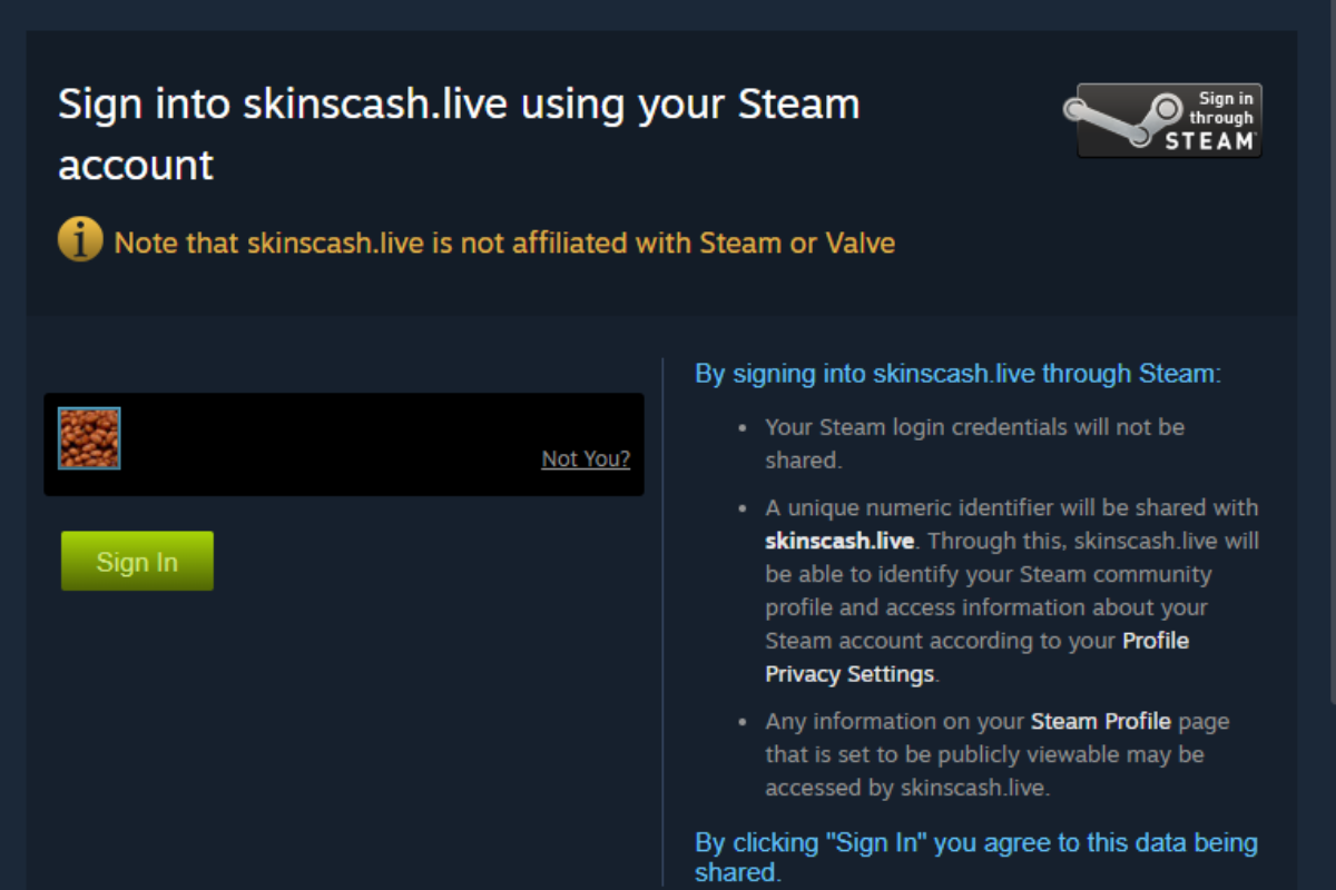 Skins.Cash Review 2026 - Our Full Experience