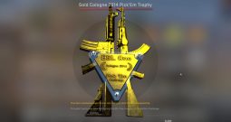 How To Get Badges In CS2